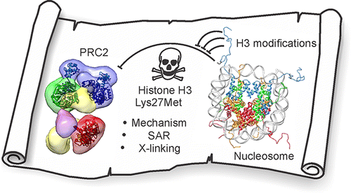 Strategy for “Detoxification” of a Cancer-Derived Histone Mutant Based ...