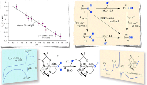 具有弱 O-H 键的水溶性 Fe(II)-H2O 复合物通过可观察的单体 Fe(III)-OH 转移氢原子,Journal of the ...