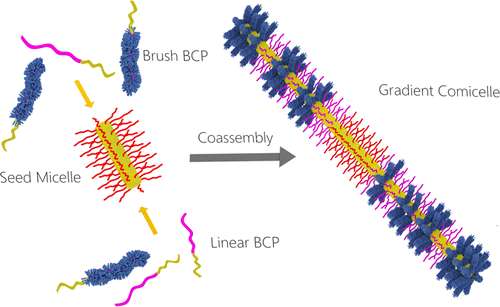 Gradient Crystallization-Driven Self-Assembly: Cylindrical Micelles ...