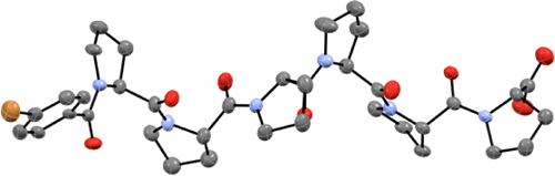A Crystal Structure of an Oligoproline PPII-Helix, at Last,Journal of ...