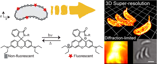 Small-Molecule Labeling of Live Cell Surfaces for Three-Dimensional ...