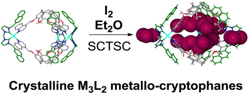Metallo-Cryptophanes Decorated with Bis-N-Heterocyclic Carbene Ligands ...