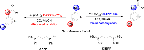 Pd-Catalyzed Chemoselective Carbonylation of Aminophenols with ...