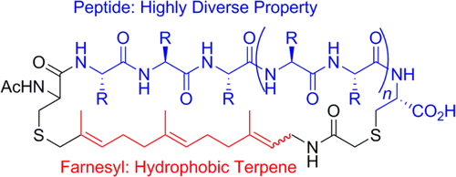 Ribosomal Synthesis of an Amphotericin-B Inspired Macrocycle,Journal of ...
