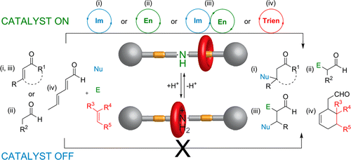 Exploring the Activation Modes of a Rotaxane-Based Switchable ...