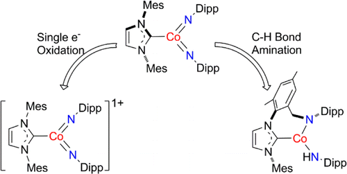 Three-Coordinate Cobalt(IV) and Cobalt(V) Imido Complexes with N ...