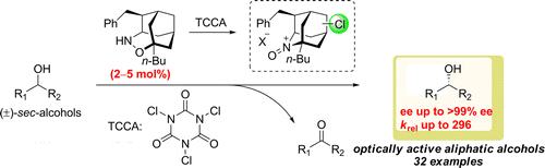 Highly Enantioselective Organocatalytic Oxidative Kinetic Resolution of ...