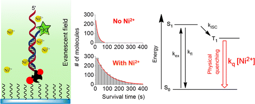 Cy3 Photoprotection Mediated by Ni2+for Extended Single-Molecule ...