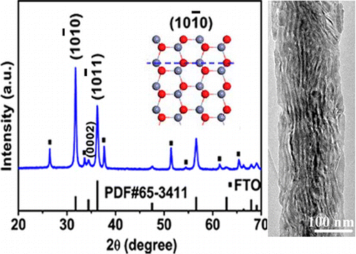 [101̅0] 具有增强光电器件性能的定向多通道氧化锌纳米线阵列,Journal of the American Chemical Society - X-MOL