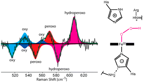 Resonance Raman Spectroscopy Reveals pH-Dependent Active Site ...