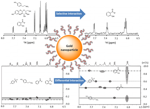 Nanoparticle-Assisted NMR Detection of Organic Anions: From ...