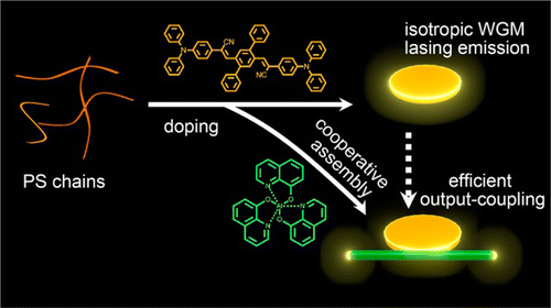 Controlled Self-Assembly of Organic Composite Microdisks for Efficient ...