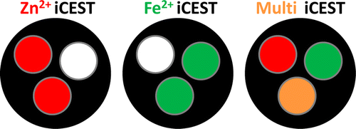 Single19F Probe for Simultaneous Detection of Multiple Metal Ions Using ...