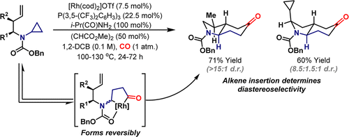 Reversible C–C Bond Activation Enables Stereocontrol in Rh-Catalyzed ...