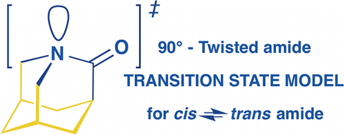 The Most Reactive Amide As a Transition-State Mimic Forcis ...