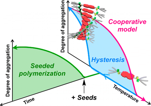 Mechanism of Self-Assembly Process and Seeded Supramolecular ...