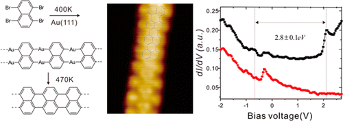 On-Surface Synthesis of Rylene-Type Graphene Nanoribbons,Journal of the ...