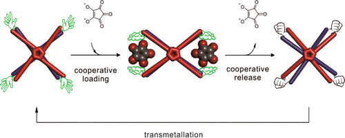 金属-有机受体的协同加载和释放行为,Journal of the American Chemical Society - X-MOL