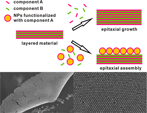 Constructing Two-Dimensional Nanoparticle Arrays on Layered Materials ...