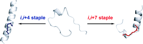 All-Atom Model for Stabilization of α-Helical Structure in Peptides by ...
