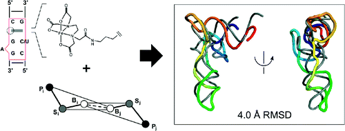 Native-like RNA Tertiary Structures Using a Sequence-Encoded Cleavage ...