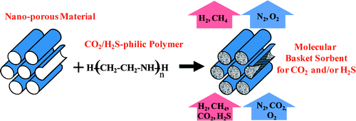 “Molecular Basket” Sorbents for Separation of CO2and H2S from Various ...