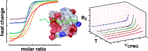 NMR和ITC研究SH3结构域的结合机制,Journal of the American Chemical Society - X-MOL