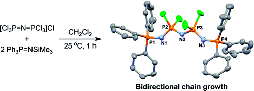 Probing the Mechanism of the PCl5−Initiated Living Cationic ...