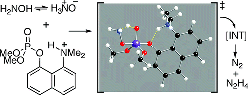 Efficient Intramolecular General-Acid Catalysis of the Reactions of α ...