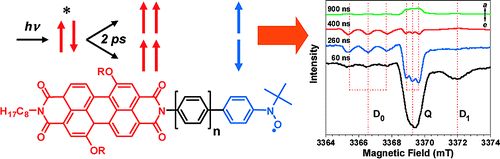Ultrafast Intersystem Crossing and Spin Dynamics of Photoexcited ...