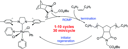 Pulsed-Addition Ring-Opening Metathesis Polymerization: Catalyst ...