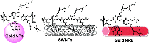 PEG Branched Polymer for Functionalization of Nanomaterials with ...