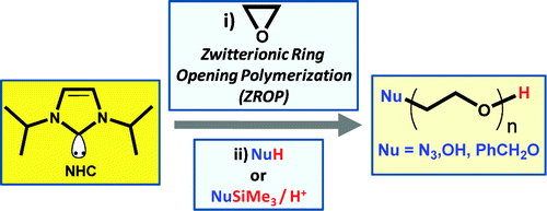 N-Heterocyclic Carbene-Induced Zwitterionic Ring-Opening Polymerization ...