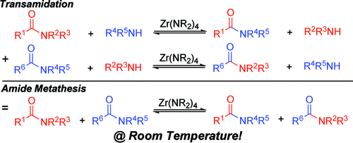 Catalytic Transamidation Reactions Compatible with Tertiary Amide ...