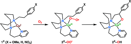 Mononuclear Copper(II)−Superoxo Complexes that Mimic the Structure and ...