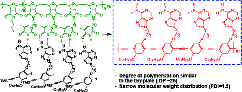 Nucleobase-Templated Polymerization: Copying the Chain Length and ...