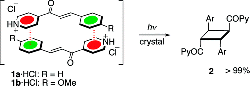 Cation−π Controlled Solid-State Photodimerization of 4-Azachalcones ...