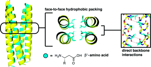 An α/β-Peptide Helix Bundle with a Pure β3-Amino Acid Core and a ...