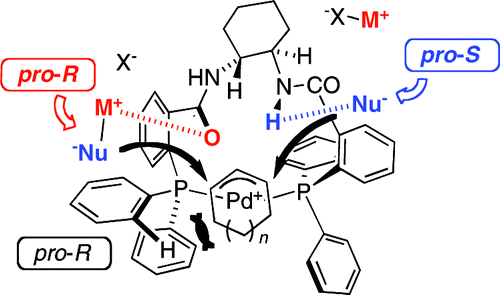 Structure-Based Rationale for Selectivity in the Asymmetric Allylic ...