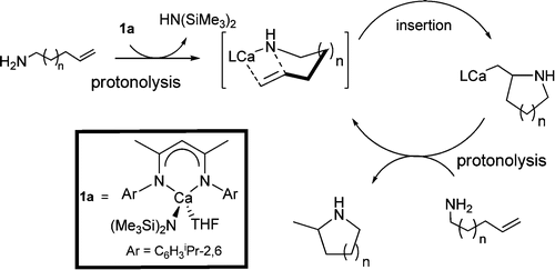 Intramolecular Hydroamination of Aminoalkenes by Calcium and Magnesium ...