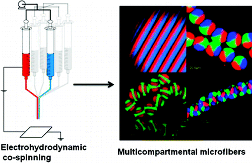 Microstructured Materials Based on Multicompartmental Fibers,Journal of ...