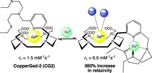 Copper-Responsive Magnetic Resonance Imaging Contrast Agents,Journal of ...