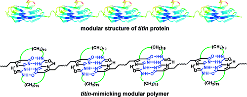A Biomimetic Modular Polymer with Tough and Adaptive Properties,Journal ...