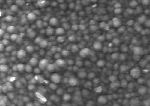 Facile Deposition of Nanodimensional Ceria Particles and Their Assembly ...