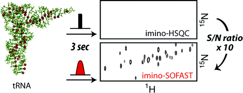 Longitudinal-Relaxation-Enhanced NMR Experiments for the Study of ...