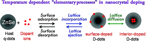 Temperature Dependence of “Elementary Processes” in Doping ...