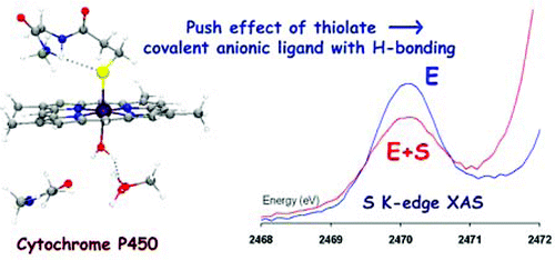 S K-edge XAS and DFT Calculations on Cytochrome P450: Covalent and ...