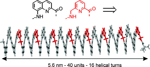 Nanosized Hybrid Oligoamide Foldamers: Aromatic Templates for the ...