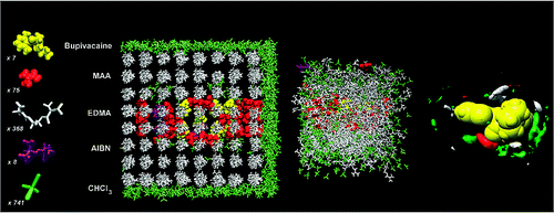Structure and Dynamics of Monomer−Template Complexation: An Explanation ...