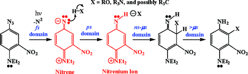 Photoaffinity Labeling via Nitrenium Ion Chemistry: Protonation of the ...
